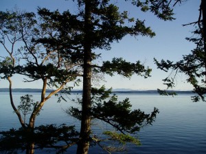 Photo Gallery – Yellow Point Lodge