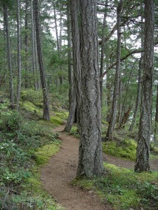 Photo Gallery – Yellow Point Lodge